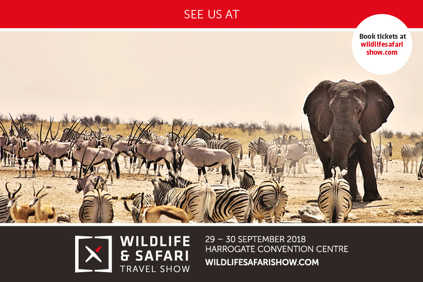 Wildlife & Safari Show - Wildlife Photography Africa